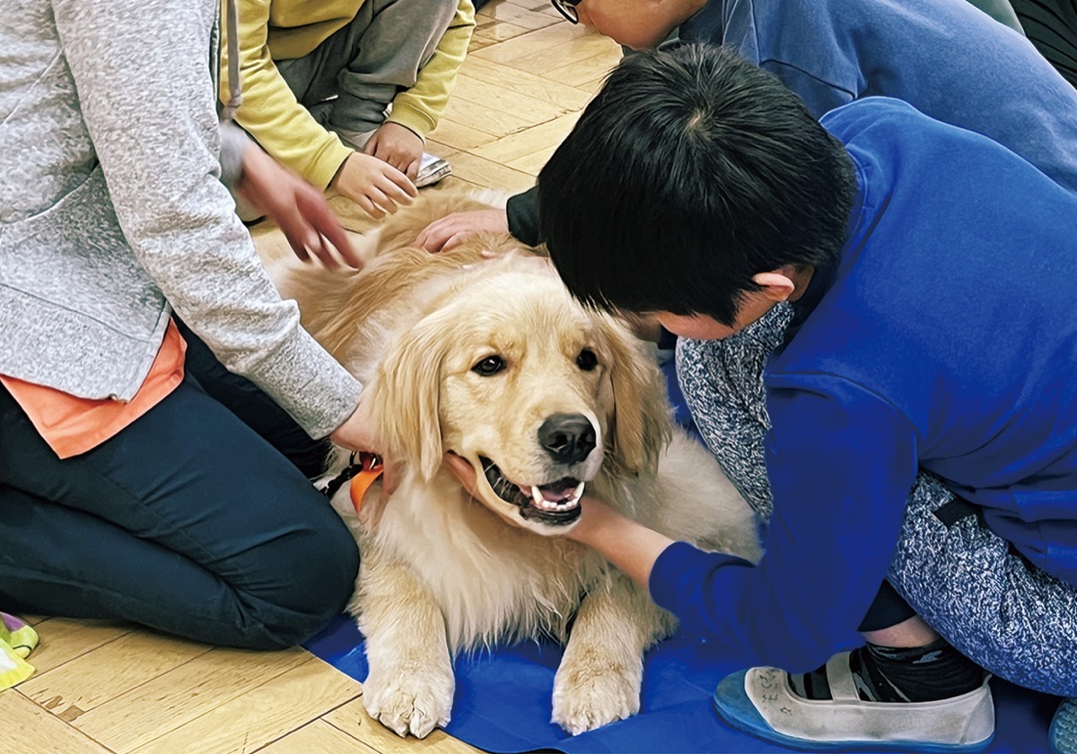 第三小児童が犬とふれあい 「機会減るなか良い影響」 | 町田 | タウンニュース | Cheriee NEWS