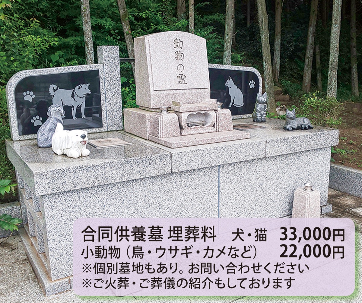 大切な家族の一員に感謝と祈りの場 ペットとの別れを考える | 八王子 | タウンニュース | Cheriee NEWS
