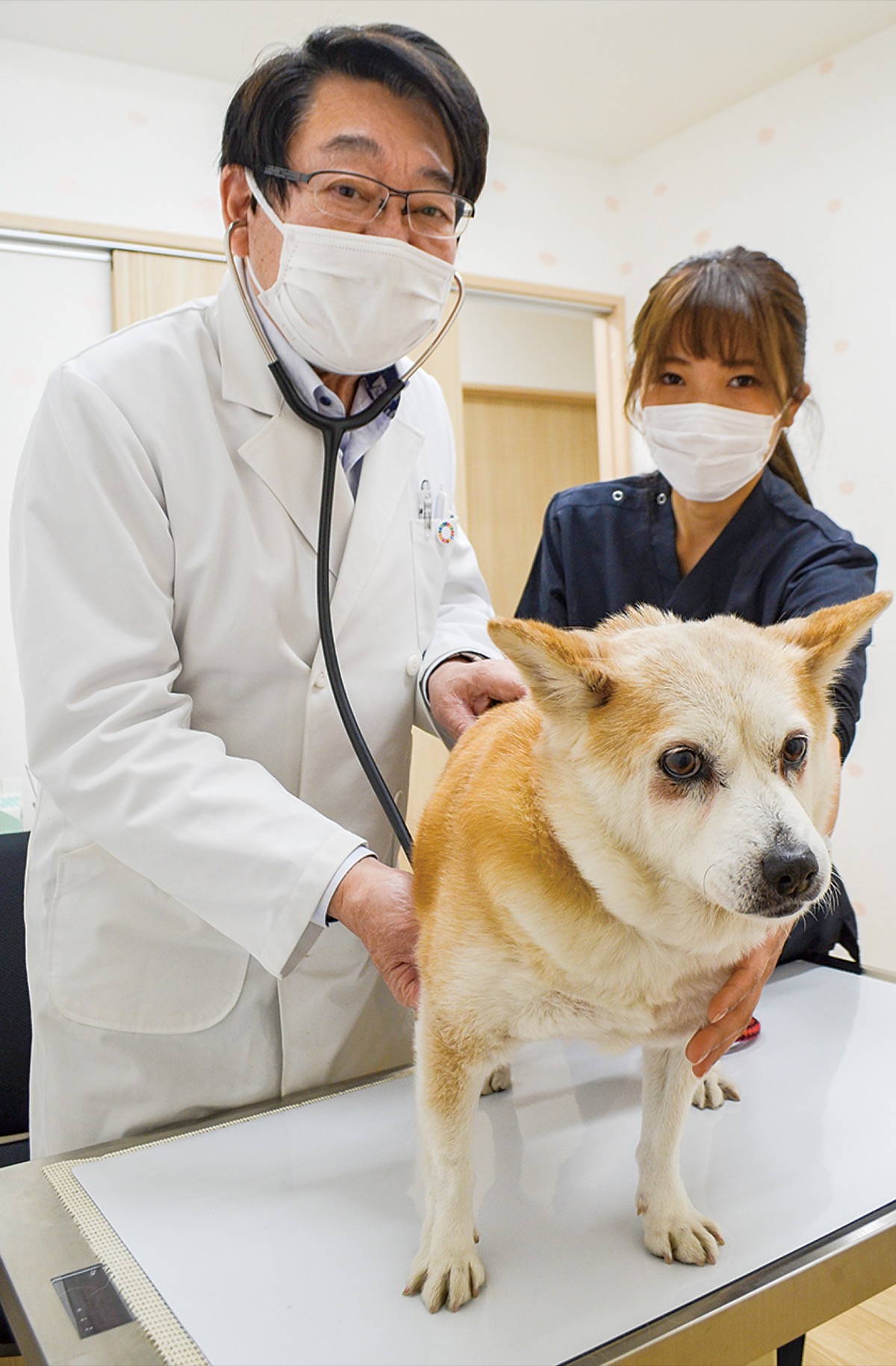 ｢三崎で最先端治療を｣ 開院1周年 更なる飛躍誓う | 三浦 | タウンニュース | Cheriee NEWS
