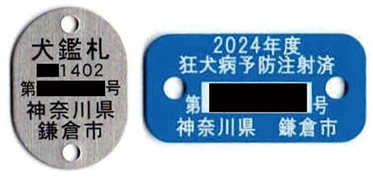 鎌倉市 ペット避難の指針策定 受け入れ条件や備え示す | 鎌倉 | タウンニュース | Cheriee NEWS